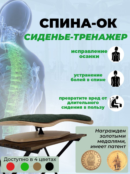 Сиденье-тренажер Толстунова для позвоночника Спина ОК Ортопедическое ...