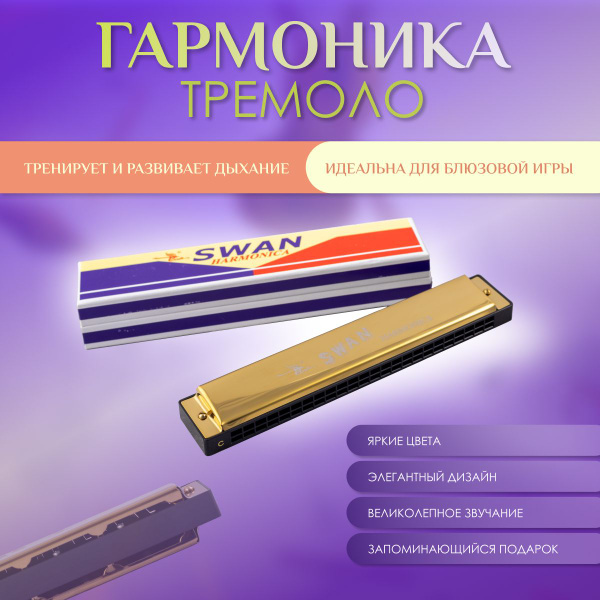 Губная гармошка, SWAN SW24-1, До мажор, 24/24 отв., 48 язычков (медь) - купить с доставкой по ...