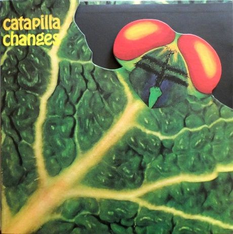 CATAPILLA Changes (Винил) - купить с доставкой по выгодным ценам в ...