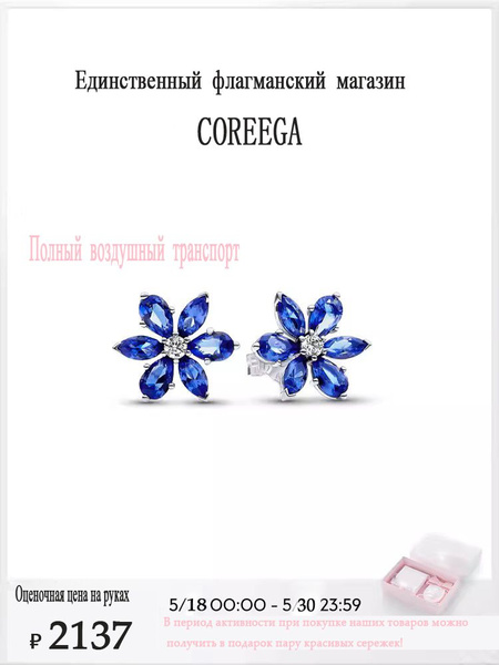 COREEGA Серьги маленькие купить на OZON по низкой цене (1576830995)