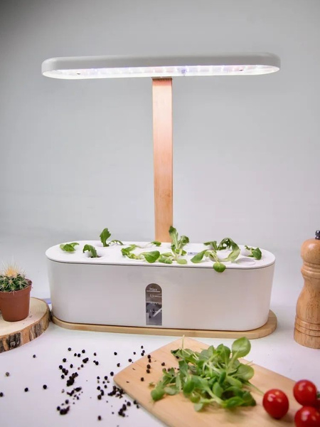 RAF STORE Гидропонная установка купить на OZON по низкой цене (1587319305)