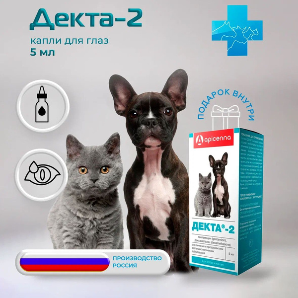 Капли глазные Декта-2, Apicenna, для кошек и собак, 5 мл купить на OZON ...