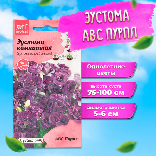 Эустомы АгроСидсТрейд AGS/ABC/ЭУСТОМА_1_Пурпл комнатная - купить по ...