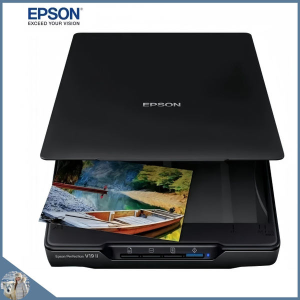Сканер Epson Perfection V19 II - купить по выгодной цене в интернет ...