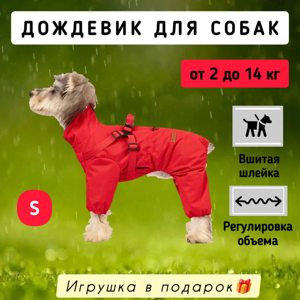 Комбинезон для собак мелких пород - купить с доставкой по выгодным ...
