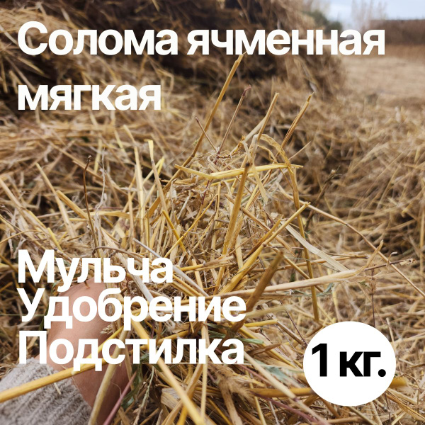 Солома ячменная для с/х животных,мульча,удобрение,подстилка для собак ...