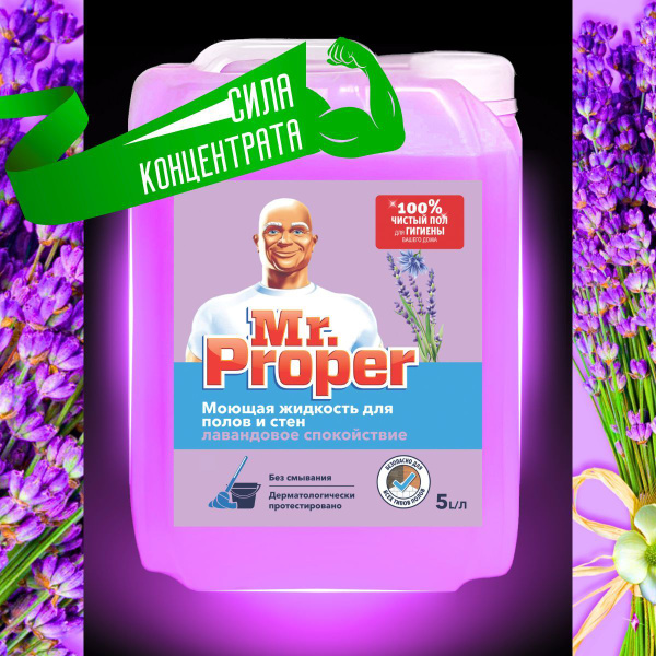 Средство для мытья полов и стен Mr. Proper 5л, Лавандовое спокойствие купить на OZON по низкой ...