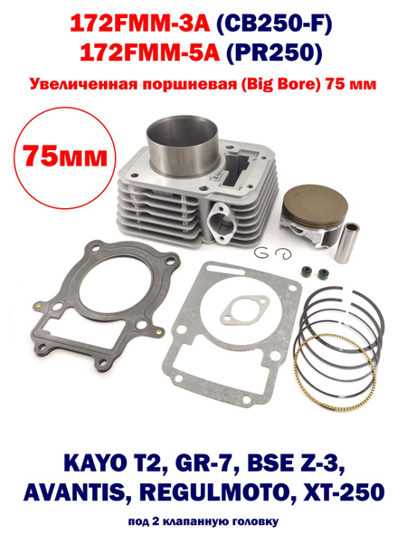 ЦПГ поршневая 172FMM увеличенная Big Bore 75 мм 300 куб. купить c ...
