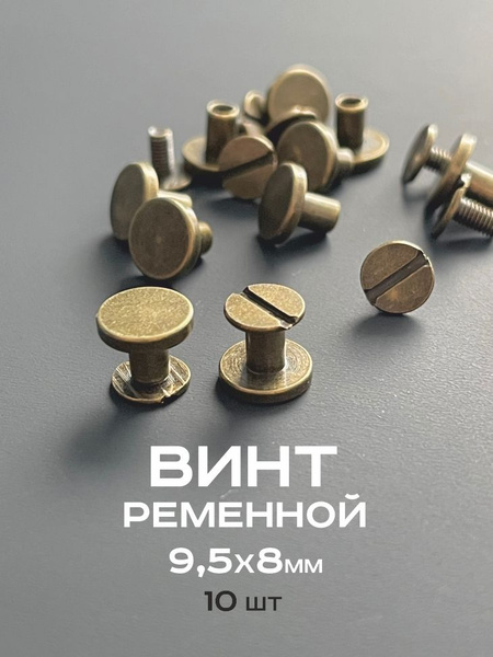 Ременной винт 9,5х8 мм, винт Чикаго купить на OZON по низкой цене ...