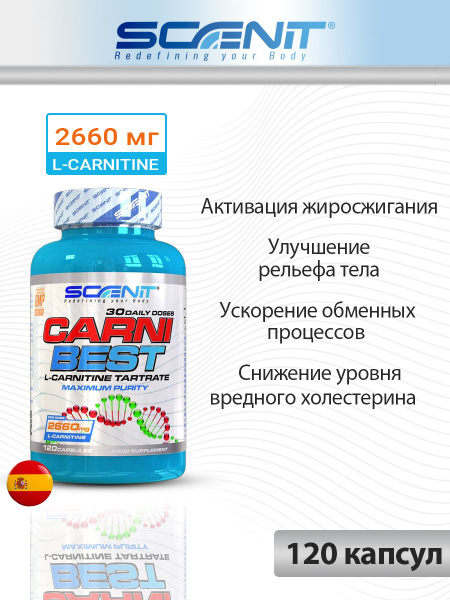 Scenit Nutrition L-Carnitinе Tartrat, Л-карнитин Тартрат, 120 капсул ...