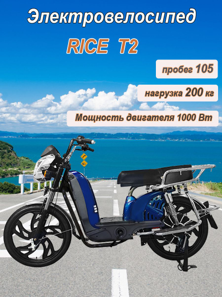 Электровелосипед ,NICE T2,1000Вт,60В 30Ач ,105km,пробег,Синий ...