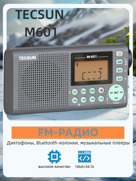 TECSUN M-601 радио с Bluetooth и записью купить на OZON по низкой цене (2094375474)