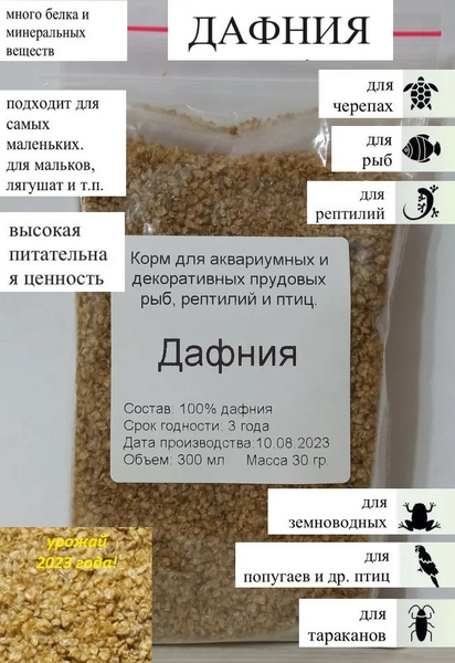 Дафния (Daphnia) - купить с доставкой по выгодным ценам в интернет ...
