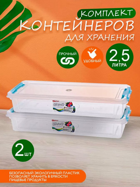 Комплект 2 шт пластиковых контейнеров Elfplast "Grand" 493 прямоугольные 2.5 л, универсальные ...
