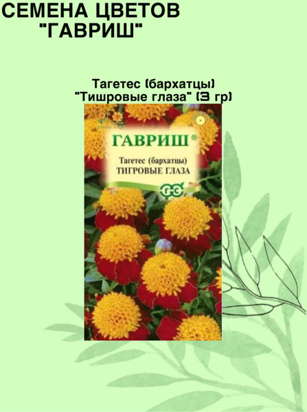 Бархатцы цветы_тигровые глаза - купить по выгодным ценам в интернет ...