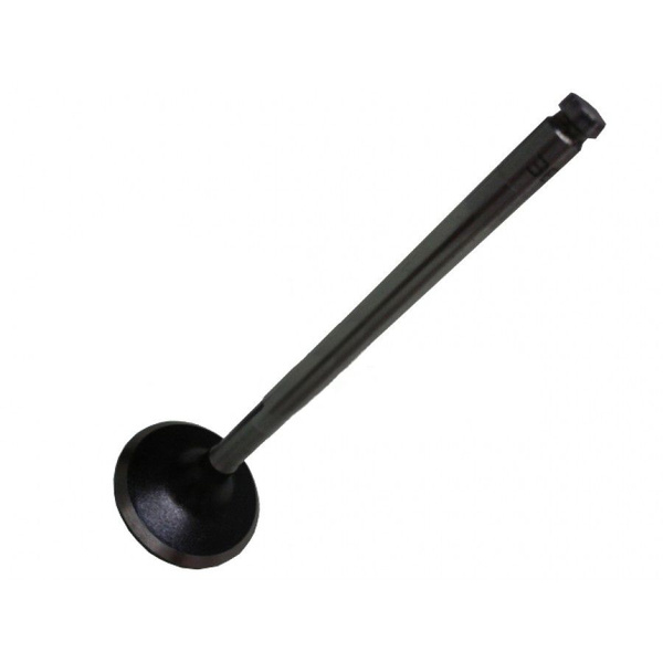 094891 PEUGEOT / CITROEN Клапан двигателя впускной - купить по ...