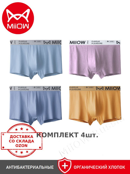 Комплект трусов Miiow, 4 шт - купить с доставкой по выгодным ценам в интернет-магазине OZON ...