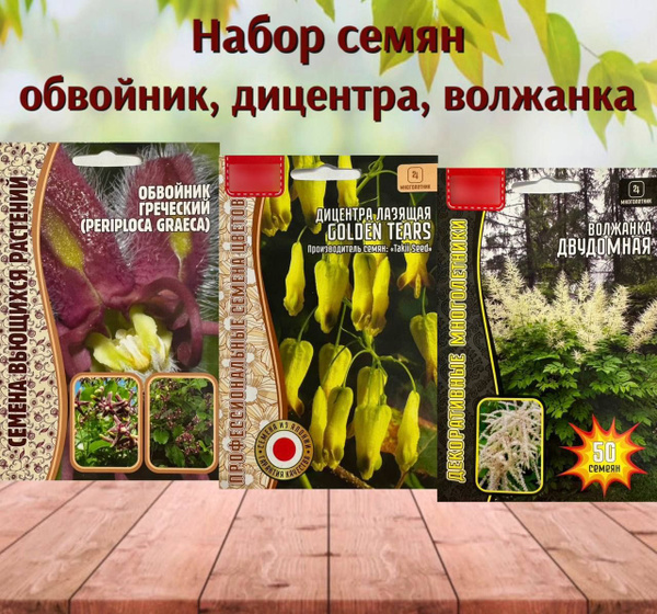 Волжанка, Дицентра (Разбитое сердце) растений для сада Обвойник ...