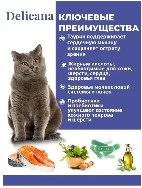 Сухой корм Delicana для взрослых кошек, лосось 8 кг - купить с ...