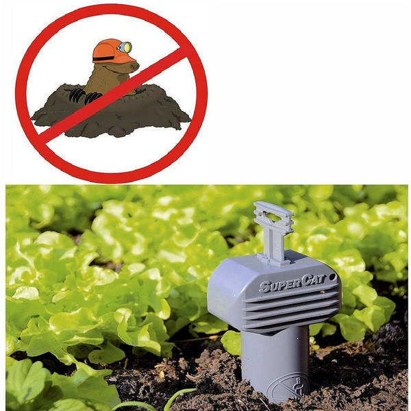Кротоловка SuperCat Vole Trap, с раздвоенным сторожком купить на OZON ...