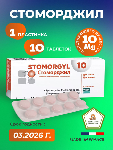 Стоморджил 10 мг 10 таблеток- 1 блистер - купить с доставкой по ...