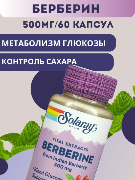 Solaray, Berberine, Берберин, 500 мг, 60 вегетарианских капсул - купить ...