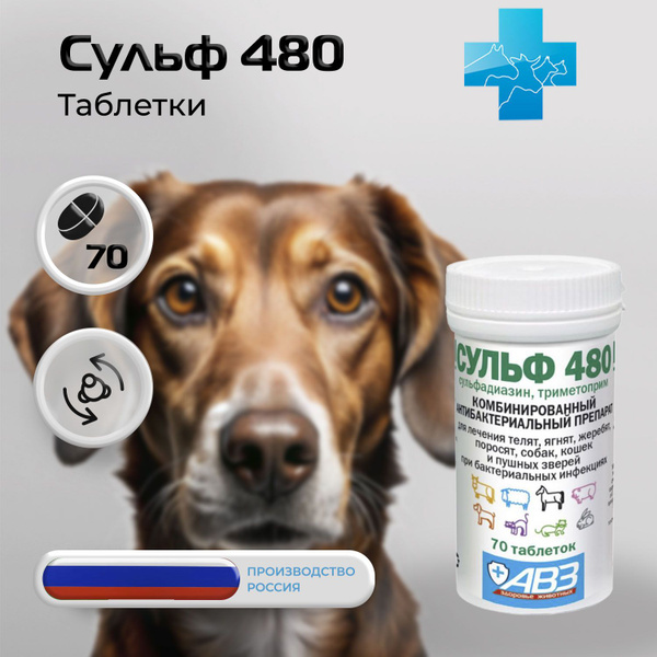 Сульф 480 №70, таблетки, 70 шт - купить с доставкой по выгодным ценам в ...