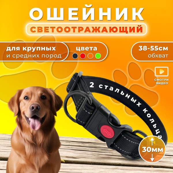 Ошейник для собак средних и крупных пород с подкладом / The Store ...