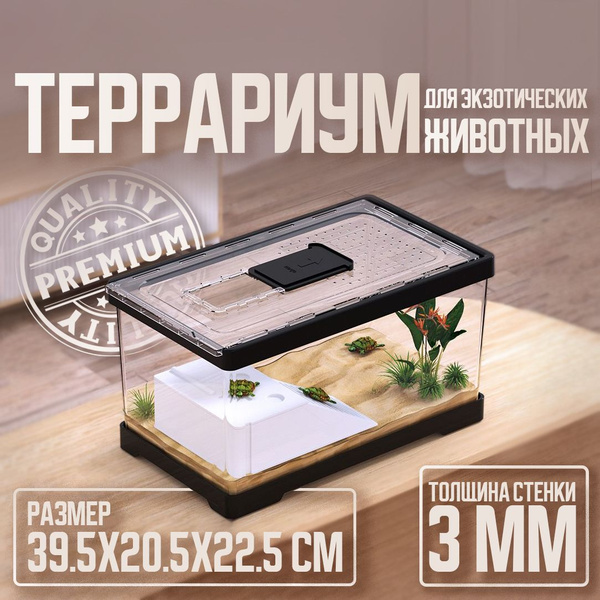 Террариум с крышкой для рептилий, пауков, улиток, богомолов, палочника ...