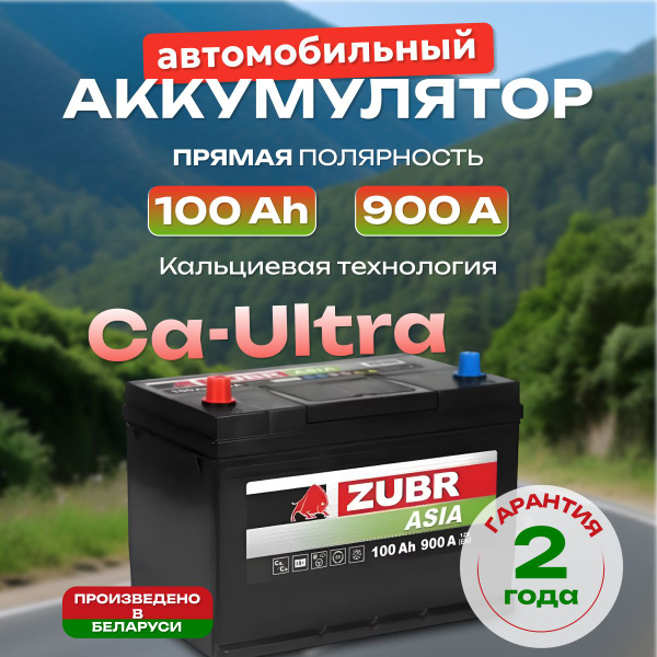 Аккумулятор автомобильный ZUBR ZUBR_PREMIUM_Прямая (+/-)_100 купить по выгодной цене в интернет ...