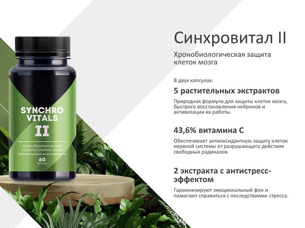 Хронобиологическая защита клеток мозга Синхровитал II, 60 капсул купить ...