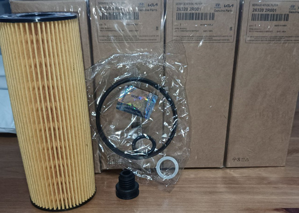 СУПЕР НИНДЗЯ БРОНЯ Фильтр масляный арт. 263202R001, 1 шт. купить на ...