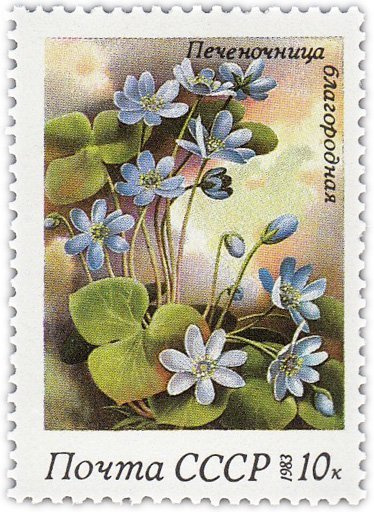 10 копеек 1983 "Цветы: Благородная печеночница" купить на OZON по низкой цене (1860248013)