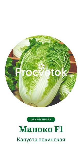 Procvetok Брокколи Гераклион F1 - купить по выгодным ценам в интернет-магазине OZON (1984756681)