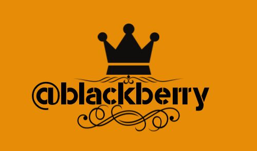 Blackberry brand — купить товары Blackberry brand в интернет-магазине OZON