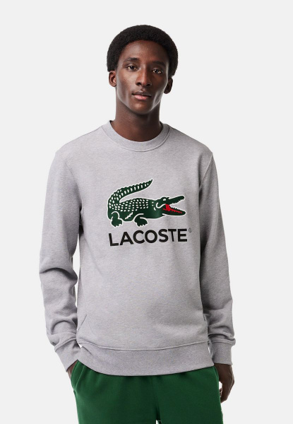 Свитшот Lacoste - купить с доставкой по выгодным ценам в интернет ...