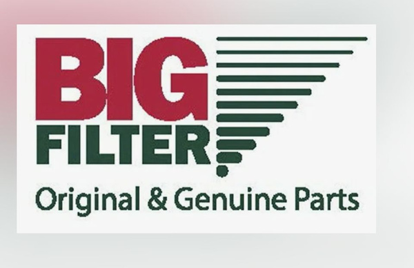 Фильтр салонный BIG FILTER GB-9906 - купить по выгодным ценам в ...