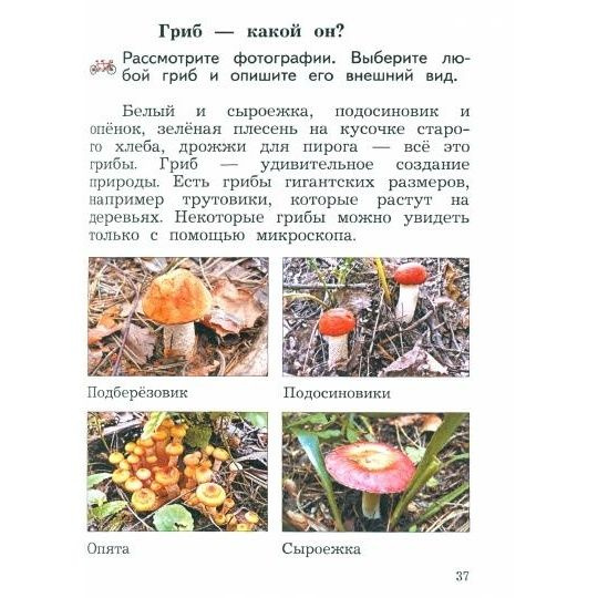 Учебное пособие Просвещение Окружающий мир. 2 класс. В 2 частях. Часть ...