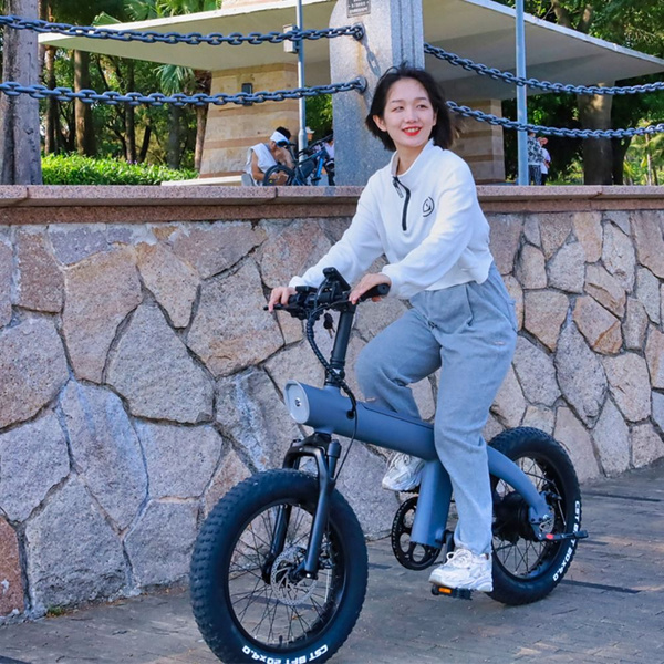 HX Электровелосипед 2024, 750 Вт - купить с доставкой по выгодным ценам в интернет-магазине OZON ...