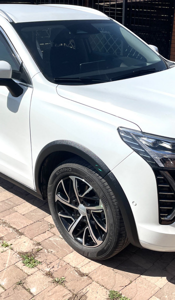 Арки для Haval JOLION ШАГРЕНЬкупить c доставкой на OZON по низкой цене ...