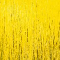 Wild Color Direct Color Yellow Желтый Биоламинирование для волос, 180мл ...
