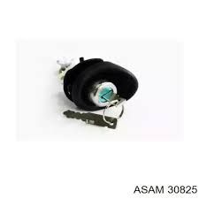 Замок крышки багажника с ключами ASAM#30825 для автомобиля Renault ...