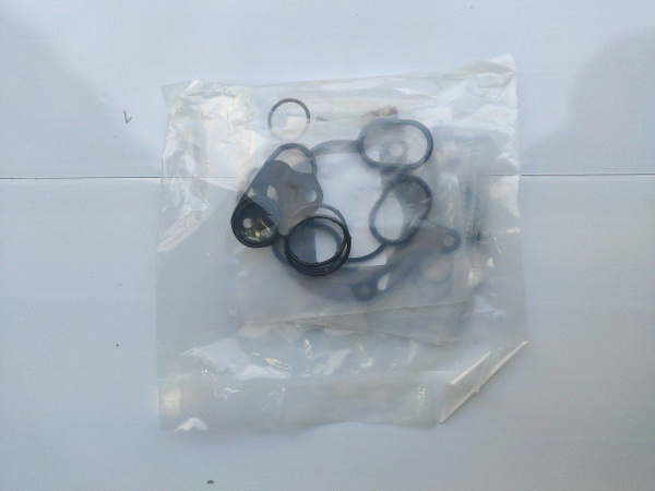 Комплект прокладок Rio Solars 209102ba00 - Hyundai-KIA арт. 209102BA00 ...
