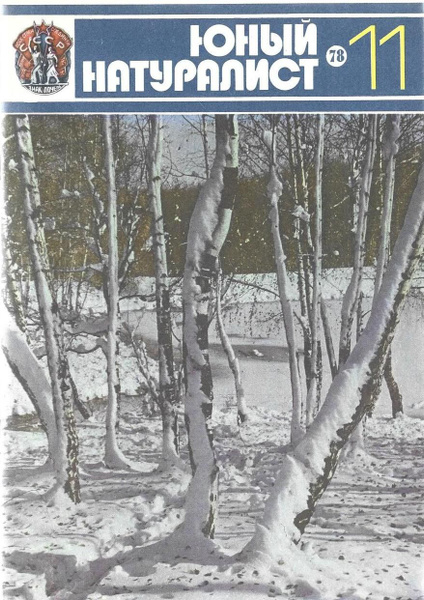 Журнал Юный натуралист. Выпуск №11, 1978 - купить с доставкой по выгодным ценам в интернет ...