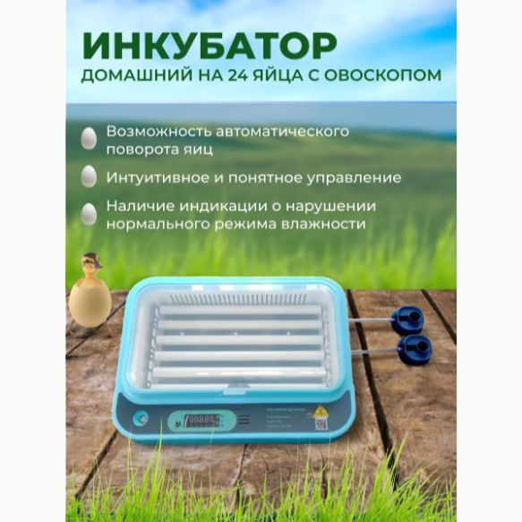 Домашний инкубатор на 24 яйца с овоскопом - купить с доставкой по ...