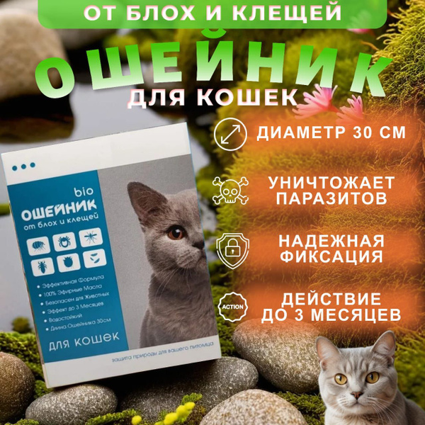 Ошейник для кошек от клещей и блох - купить с доставкой по выгодным ...