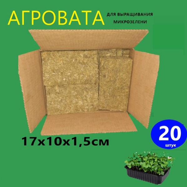 Набор для выращивания SPELAND, Базилик, Амаранты, Однолетник купить по ...