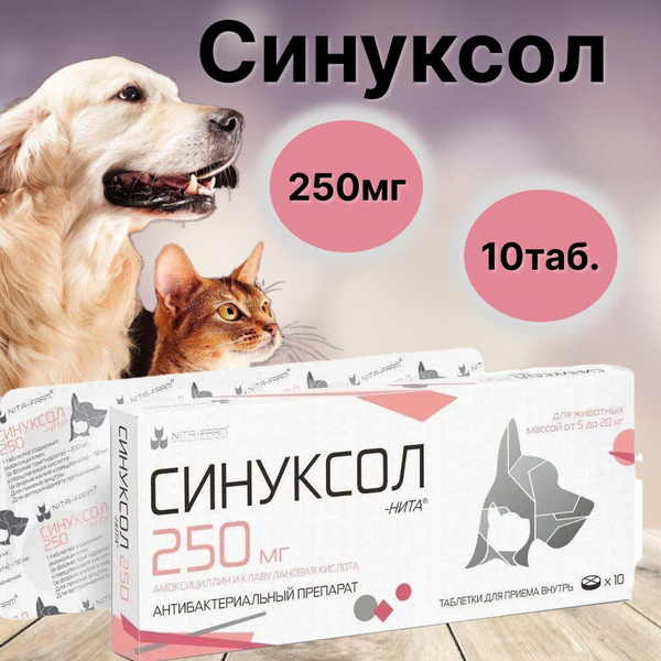 Таблетки Синуксол 250 мг при заболеваниях бактериальной этиологии, 10 ...