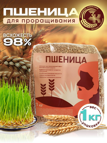 Пшеница для проращивания, микрозелень для проращивания, ростки пшеницы ...