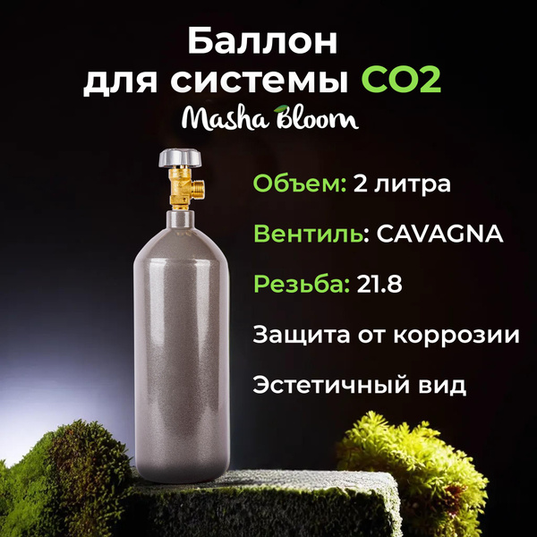 Баллон СО2 для аквариума. 2 литра. CAVAGNA 21.8 купить на OZON по ...